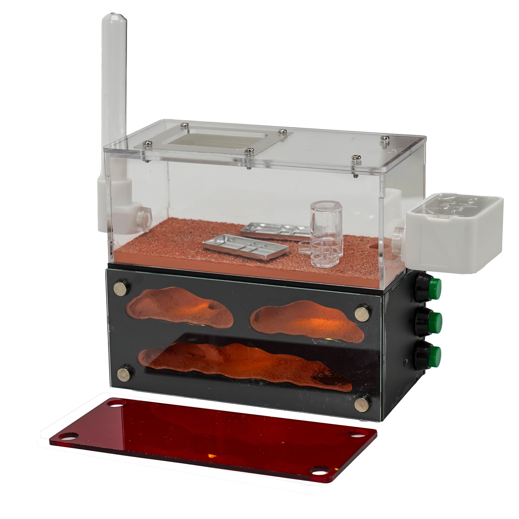 Amazon.com: Rimsunta Ant Farm for Live Ants - for Small Ant Clony ...