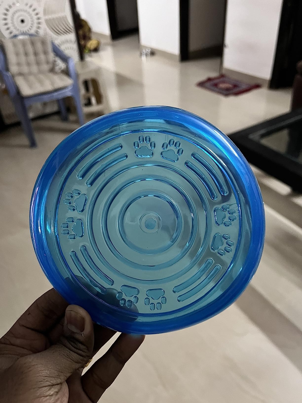 The Pets Company Flyer Dog Toy, Frisbee for Small Dog Breeds, 6 Inches ...