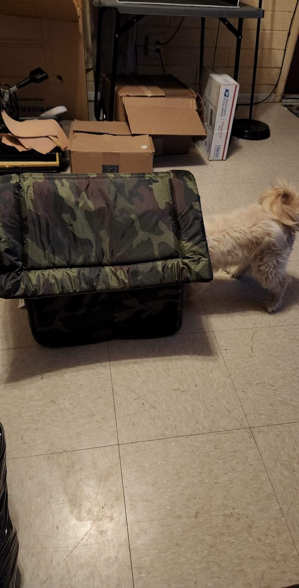 $8/mo - Finance Hollypet Pet Bed House, Double Roof Dog Room for Small ...