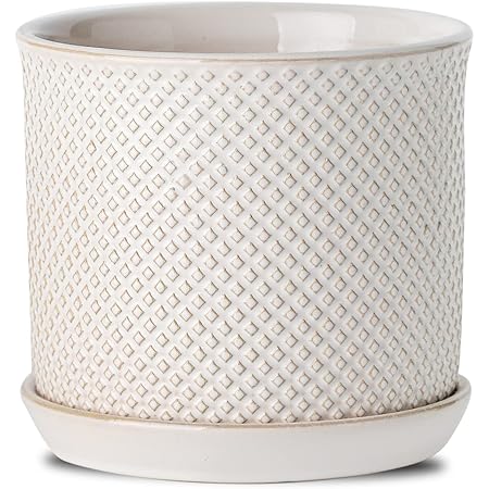 Amazon.com: Nihow Ceramic Plant Pot: 6 Inch Planter with Drainage Hole ...