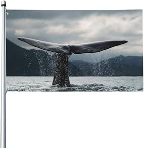 Amazon.com : Whale Tail Flags Garden Home Flag House Flags For Outdoor ...
