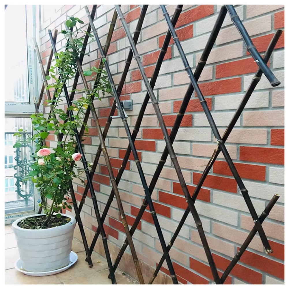 Expandable Bamboo Trellis Expandable Bamboo Pole Trellis For Plant