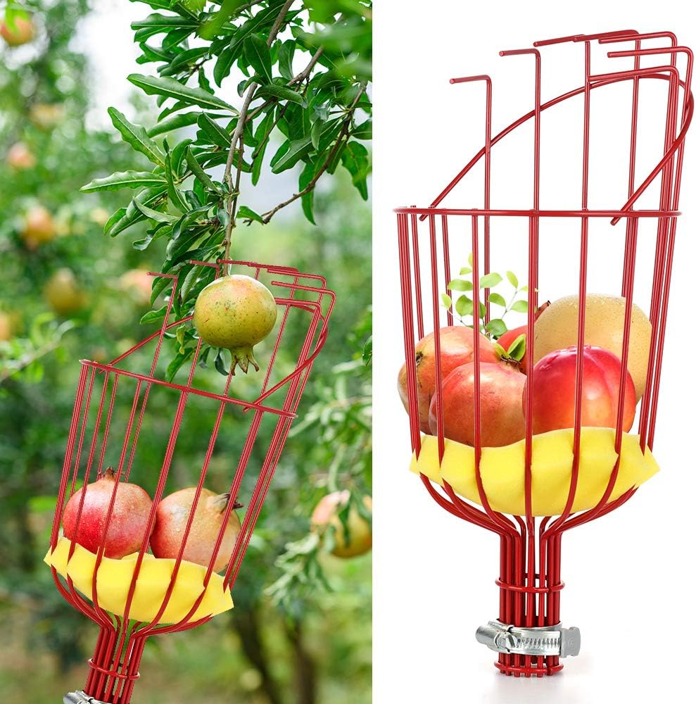Amazon.com : STARRICH Fruit Picker Head Basket or Fruit Picking Tools ...