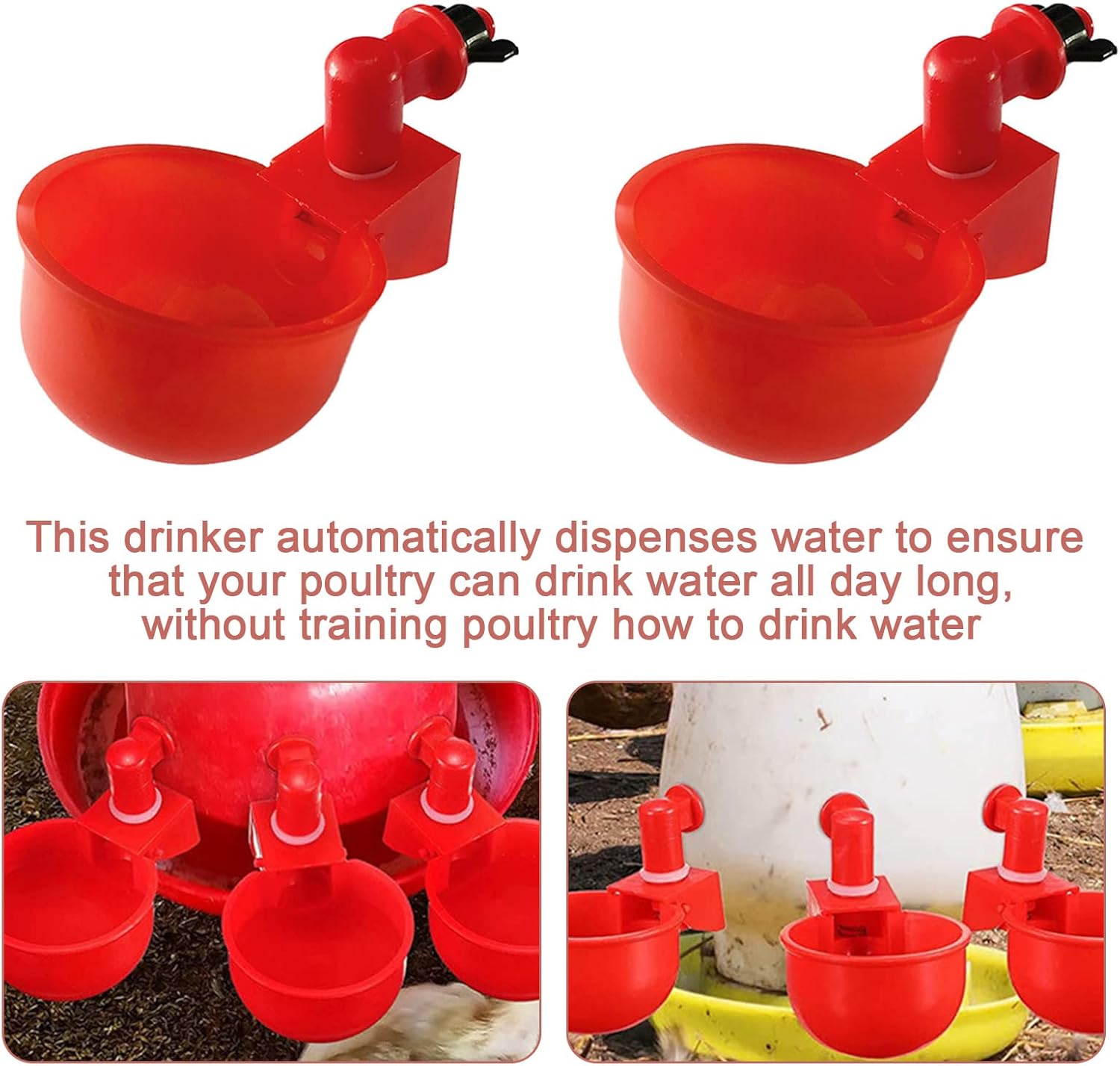 LQKYWNA Automatic Poultry Waterer, Poultry Automatic Drinkers 4 Pack ...