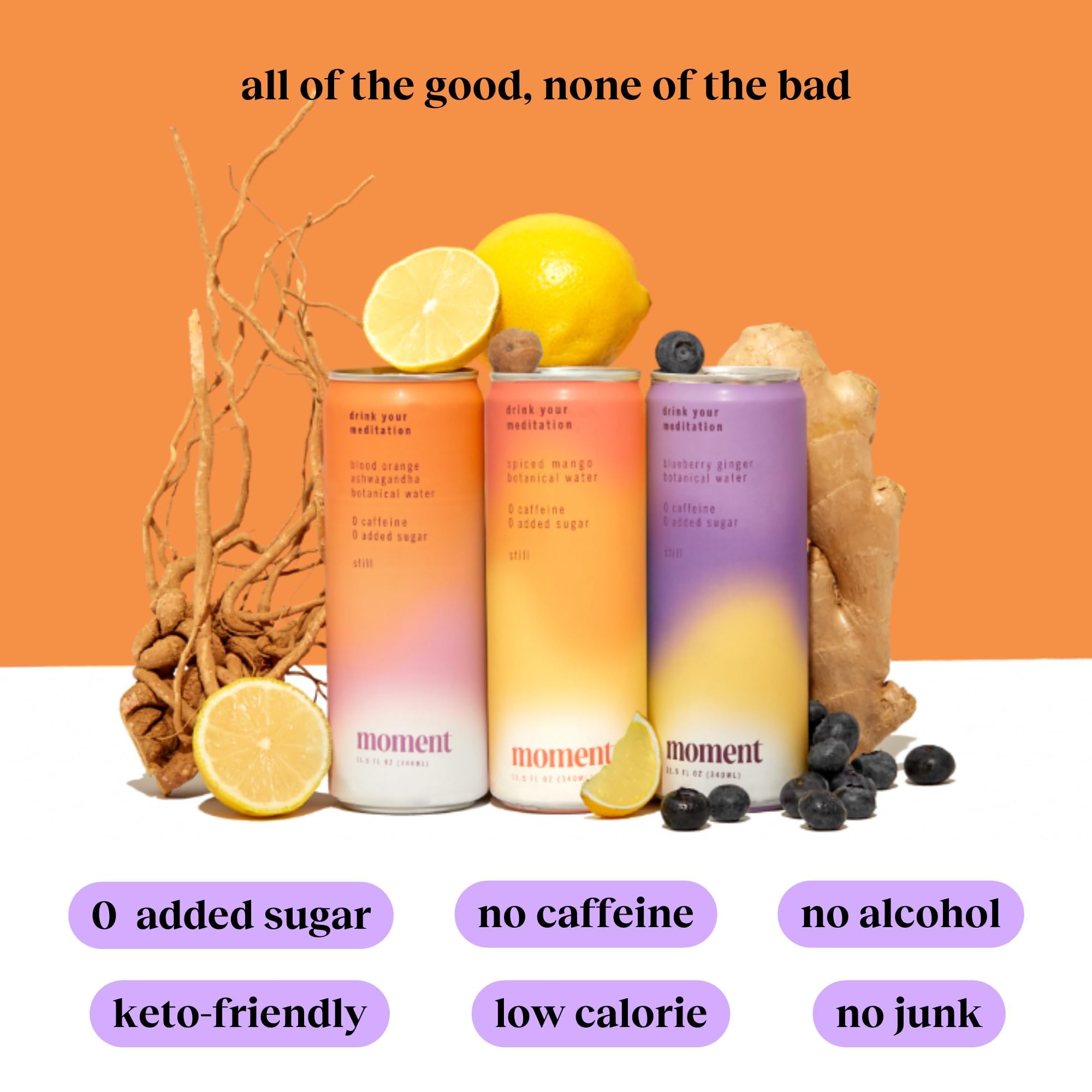 Snapklik.com : Moment Botanical Water STILL - Healthy & Natural ...