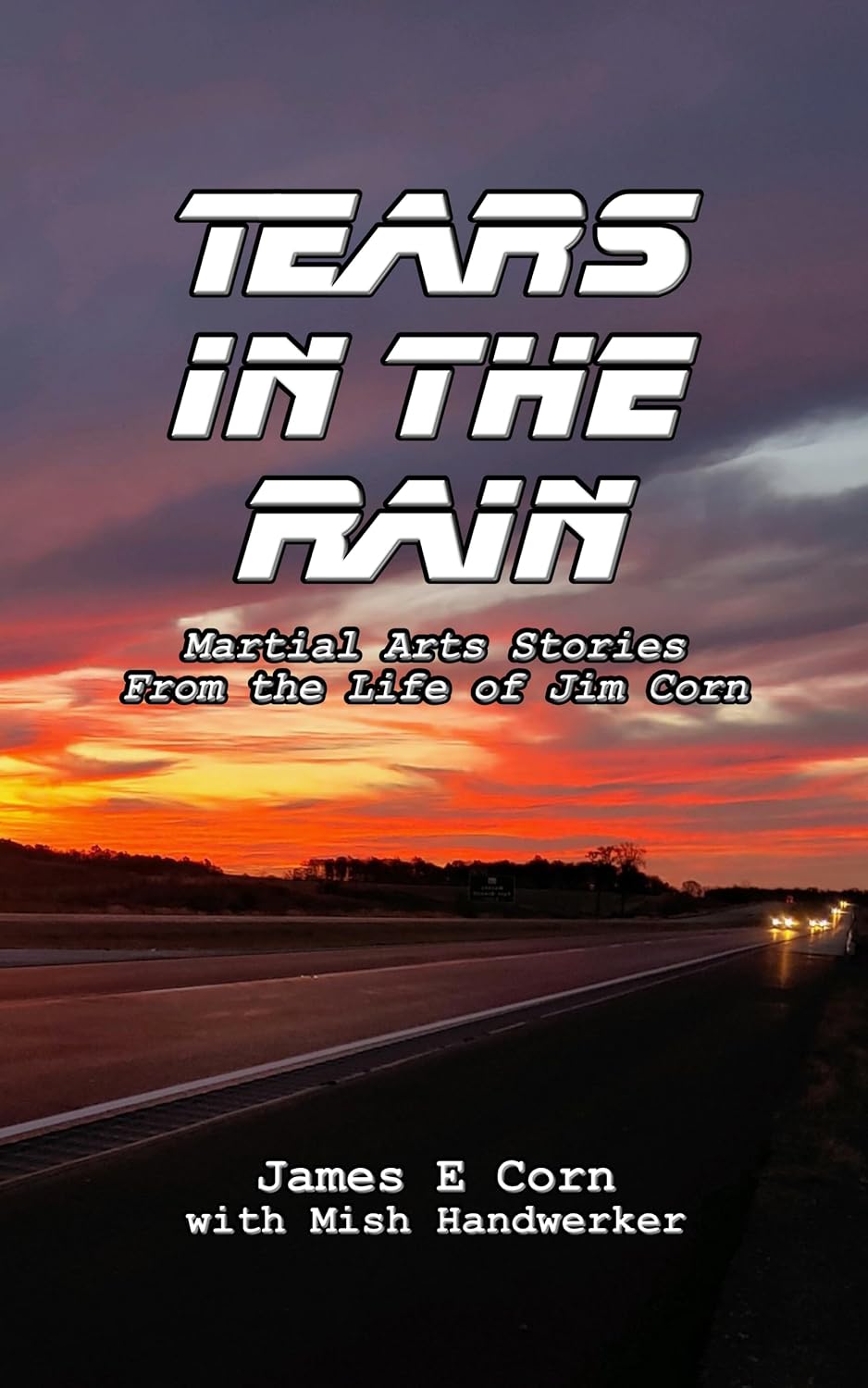 Amazon.com: Tears in the Rain: Martial Arts Stories From the Life of ...