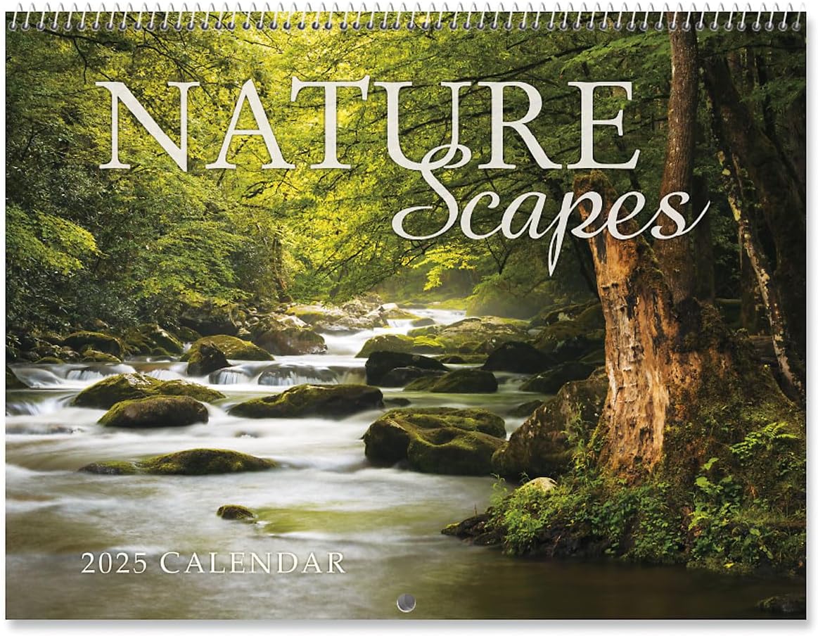 Amazon.com: 2025 A Year of Birds Wall Calendar, 12-Inch x 9-Inch Size ...