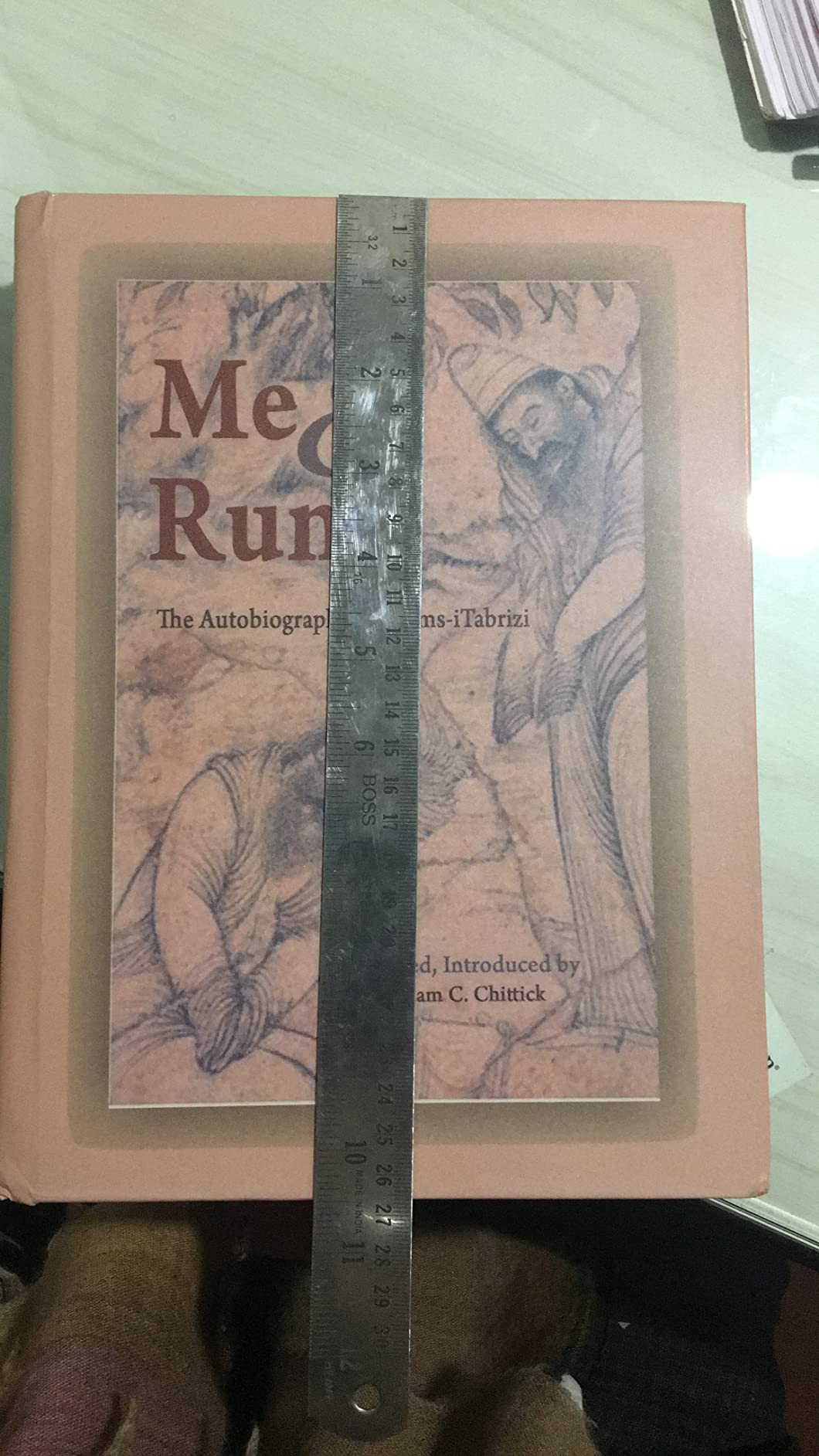 Buy Me and Rumi Book Online at Low Prices in India | Me and Rumi ...