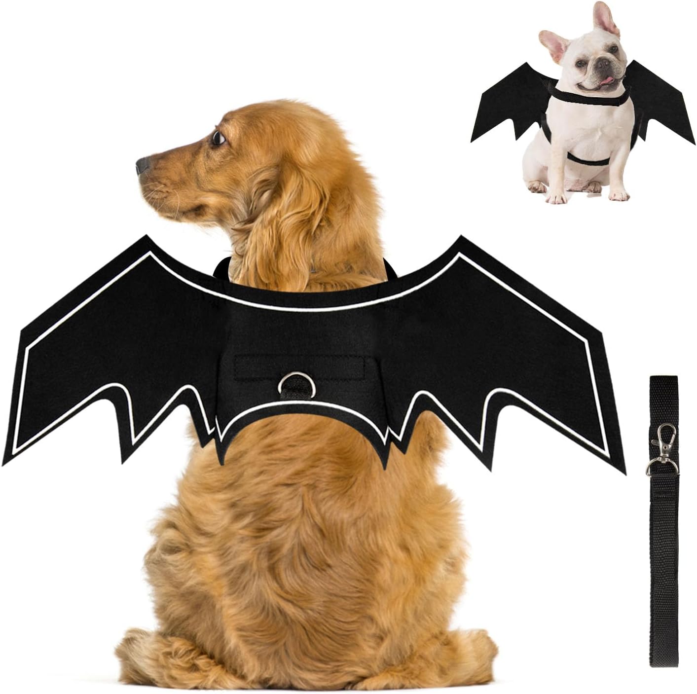 Amazon.com : Labeol Dog Halloween Costumes, Glow in the Dark Halloween ...