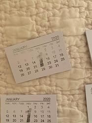 Mini Calendar Tabs White Month to View Tear Off Pads 2025 Calendar ...