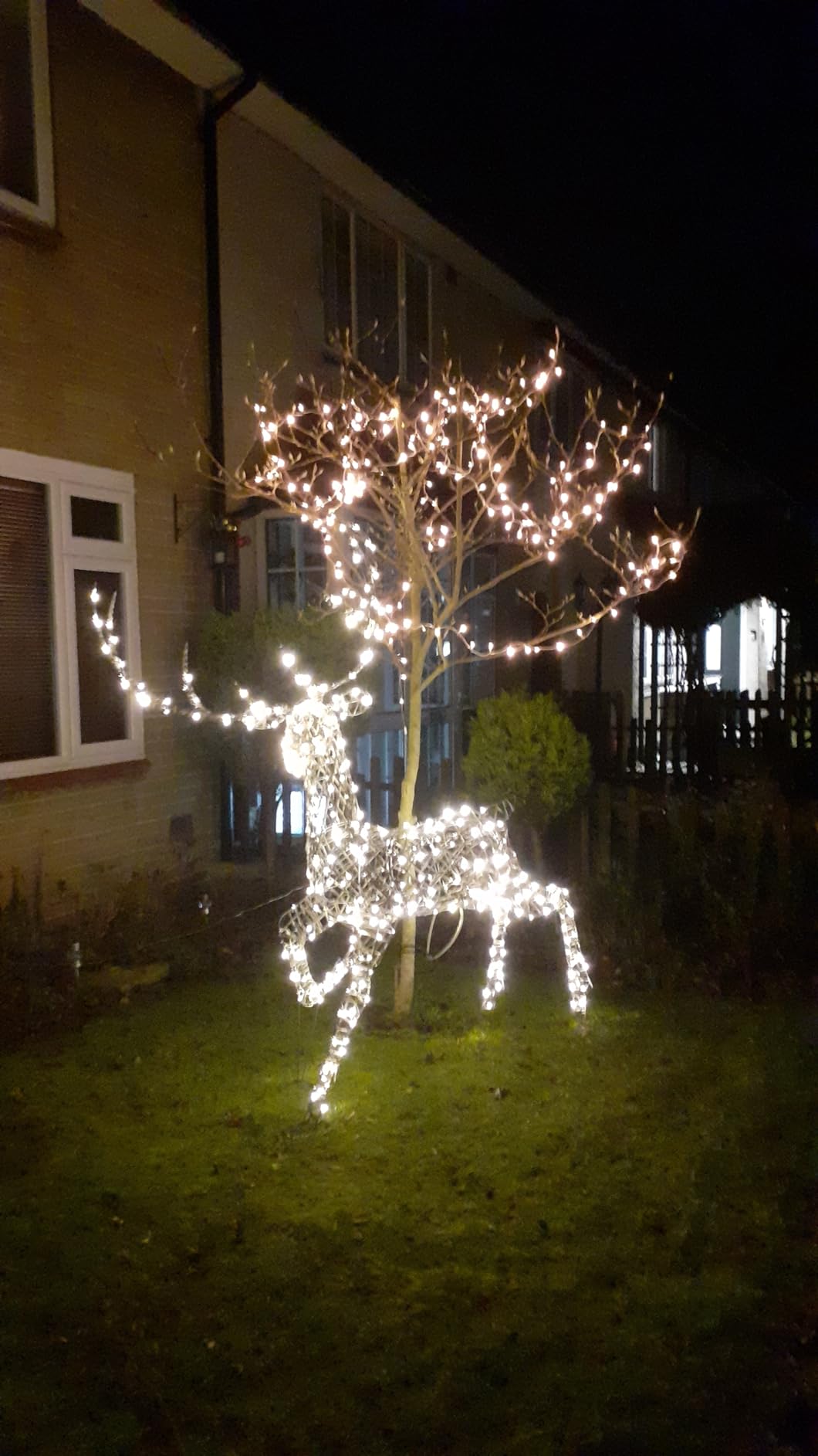 2m Grey Wicker Outdoor Light Up Reindeer Stag With Warm White and White ...