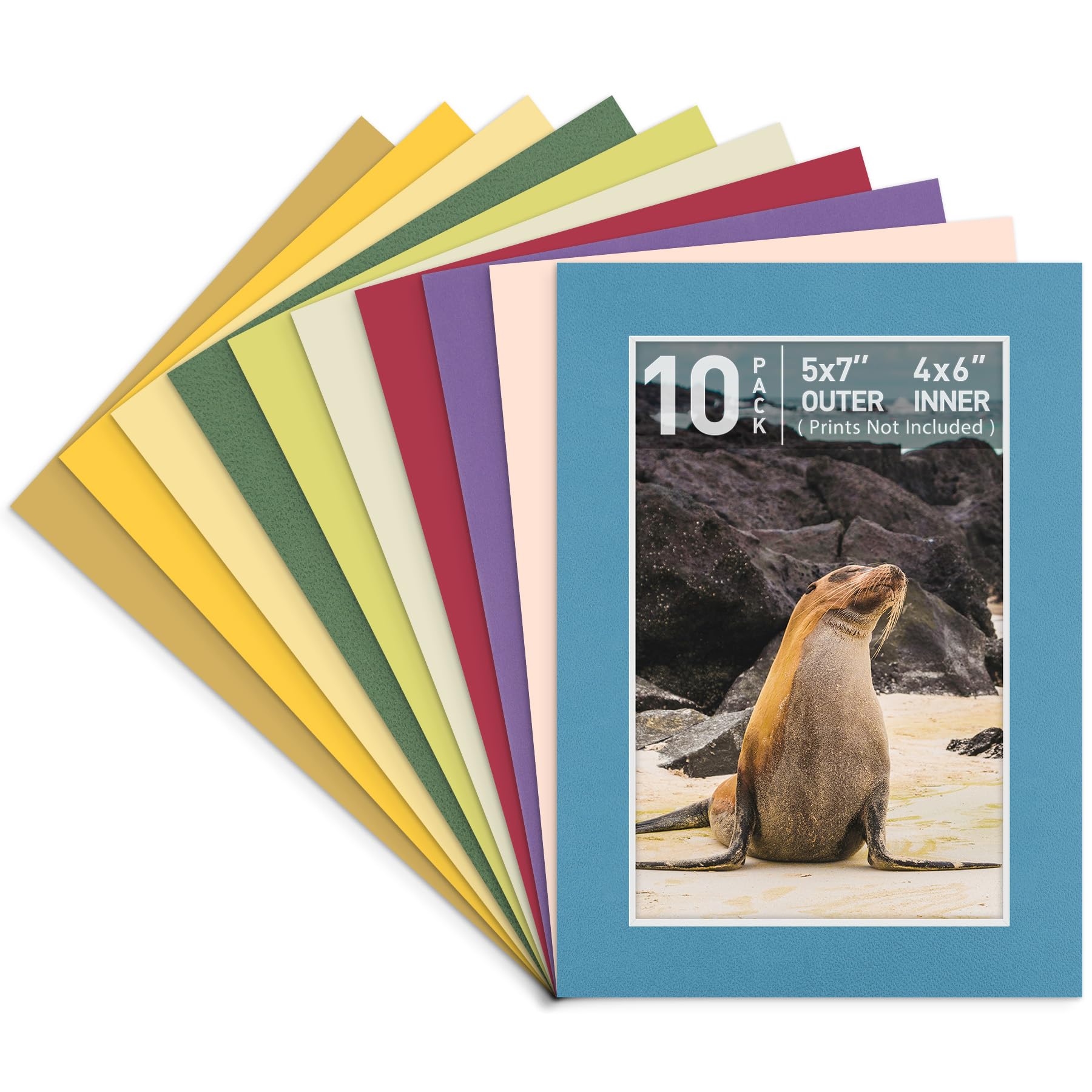 Snapklik.com : Golden State Art, Pack Of 10, 5x7 Mix Color Picture Mats