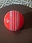 Flash Rubber Synthetic Ball i10 for Cricket Practice (Regular Size ...