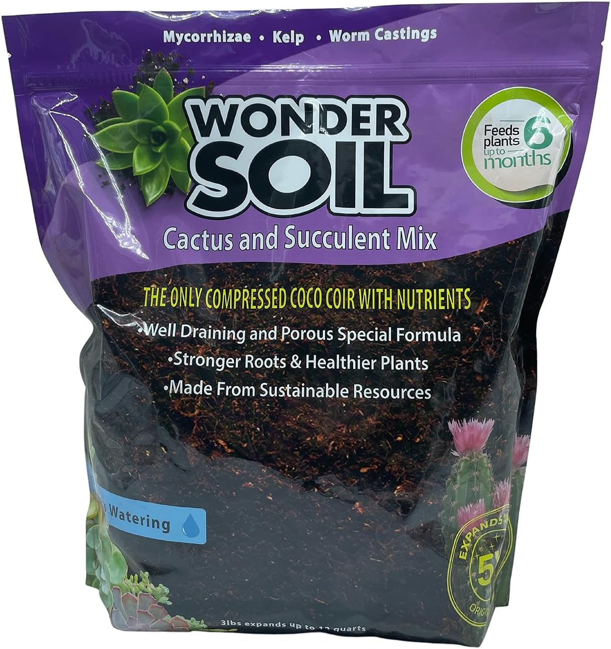 Amazon.com : WONDER SOIL | Organic Cactus & Succulent Soil (12 Quarts ...