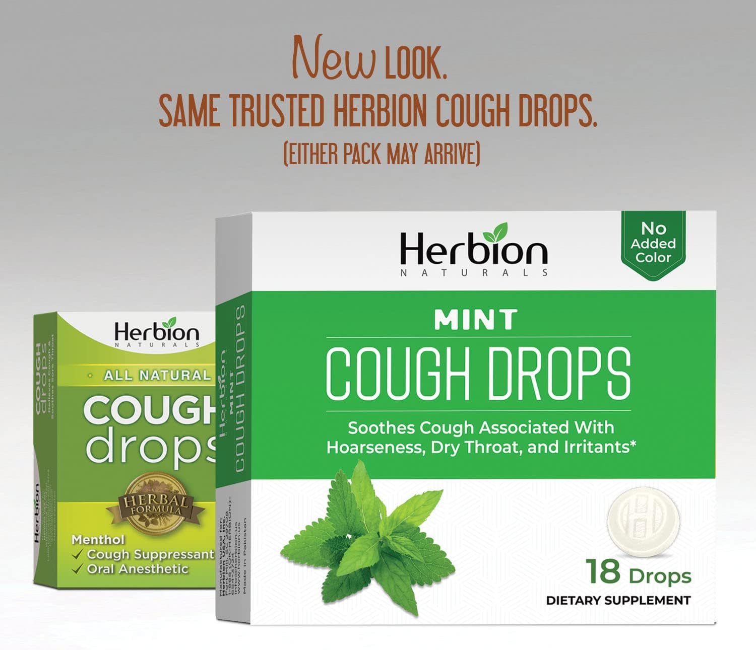 Herbion Naturals Cough Drops with Mint Flavor – 6 pack– Oral Anesthetic ...
