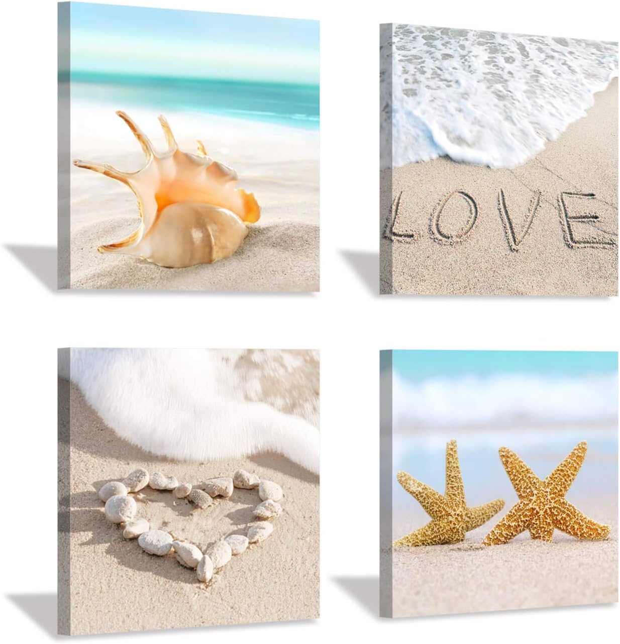 Amazon.com: Hardy Gallery Beach Seashell Picture Canvas Print: Coastal ...