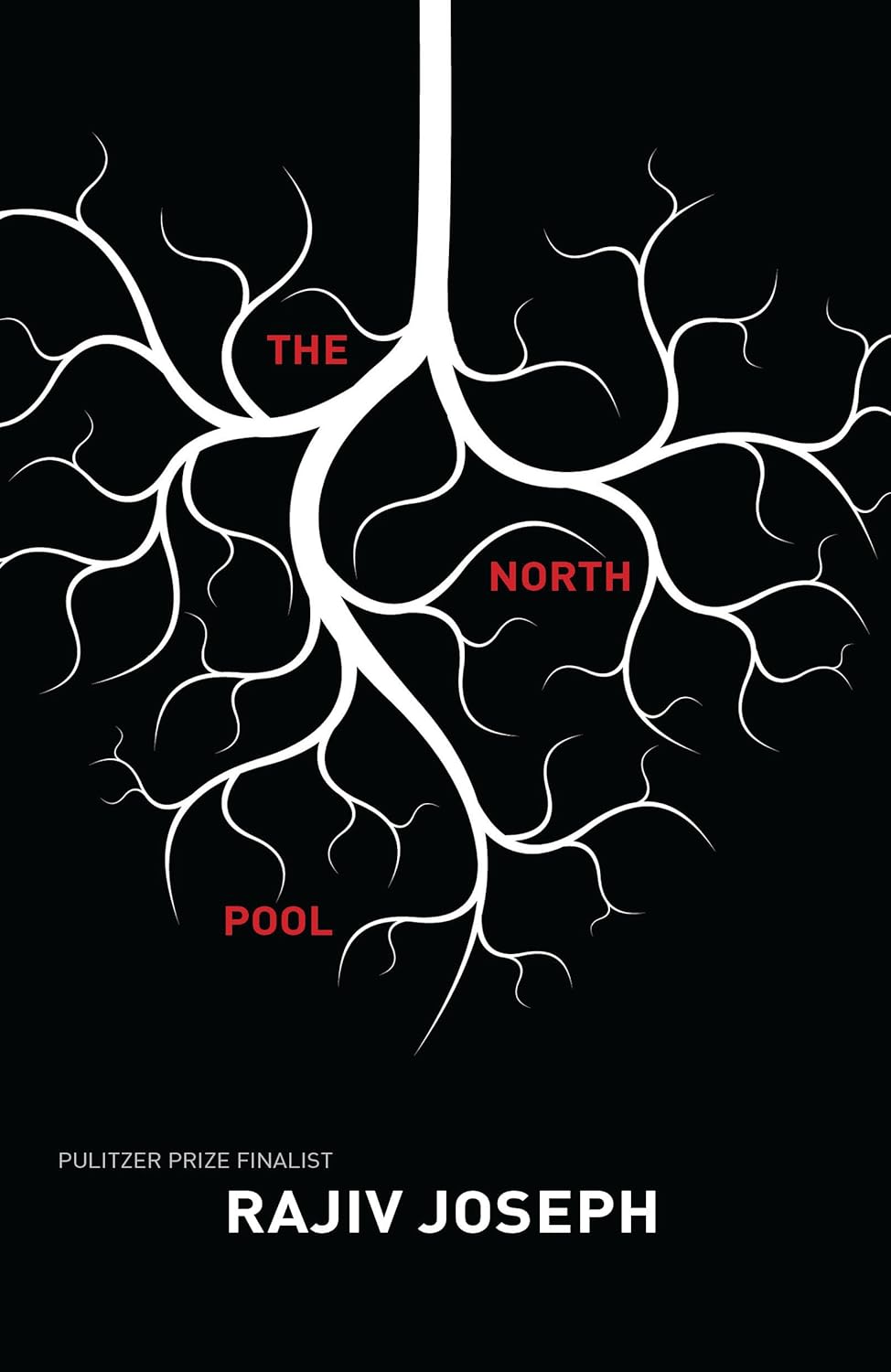 The North Pool: Joseph, Rajiv: 9781593765095: Amazon.com: Books