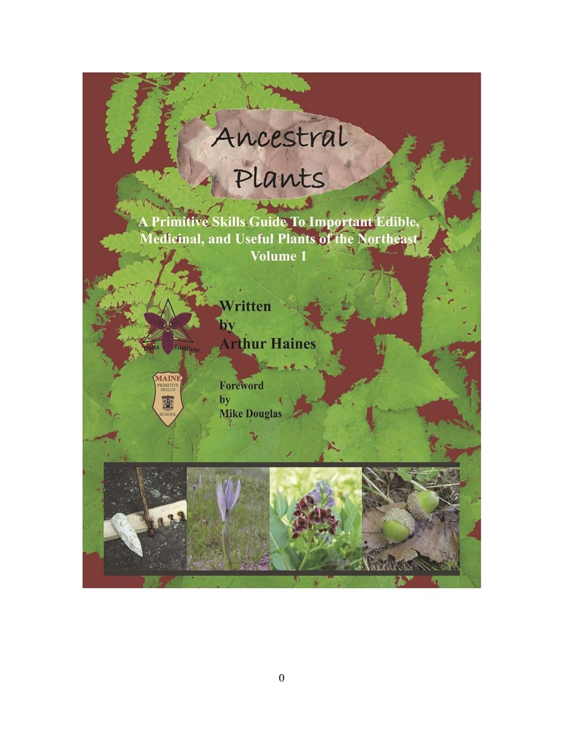 Ancestral Plants Volume 1: A Primitive Skills Guide To Important Edible ...