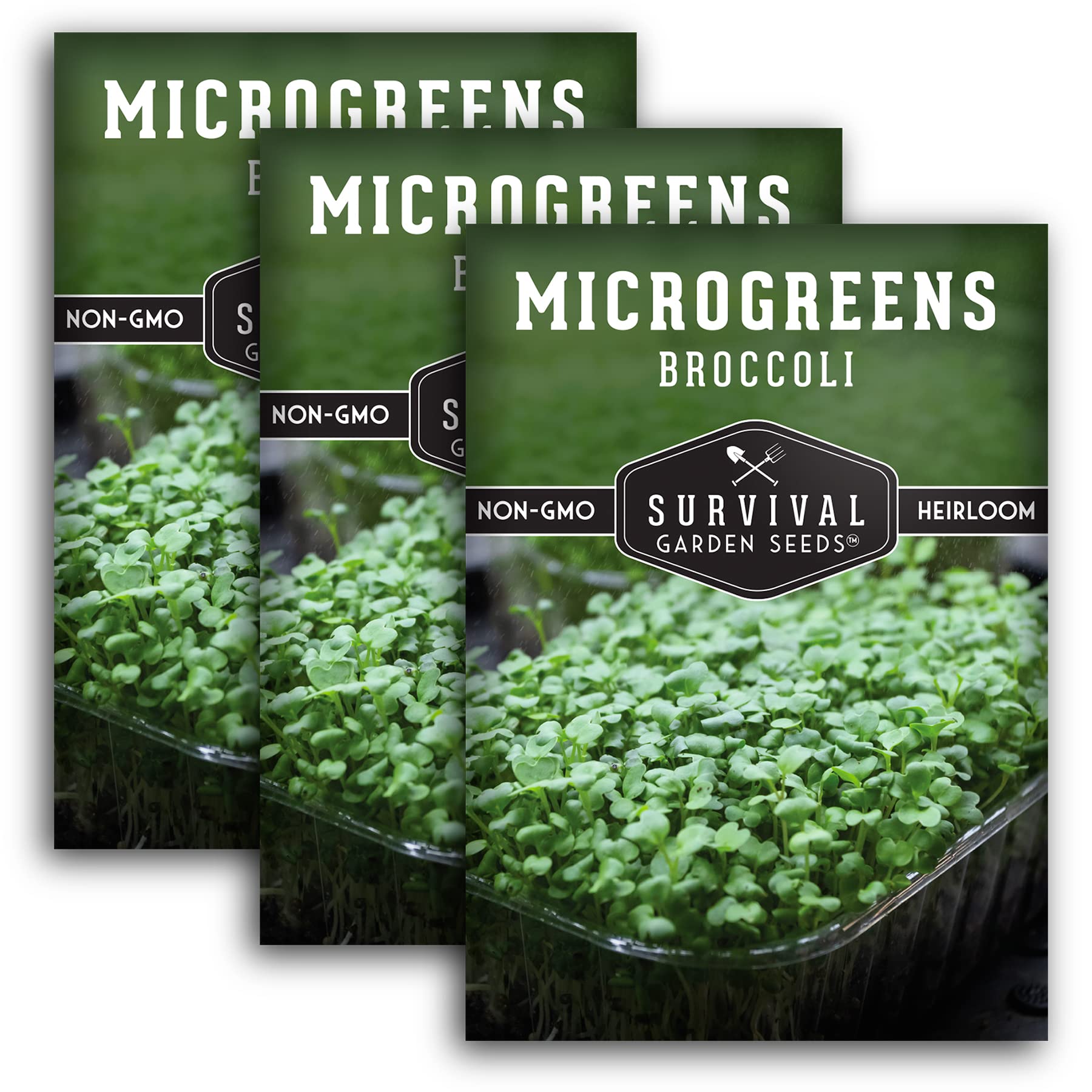 Amazon.com : 3 Packs Broccoli Microgreens Seeds for Planting and ...