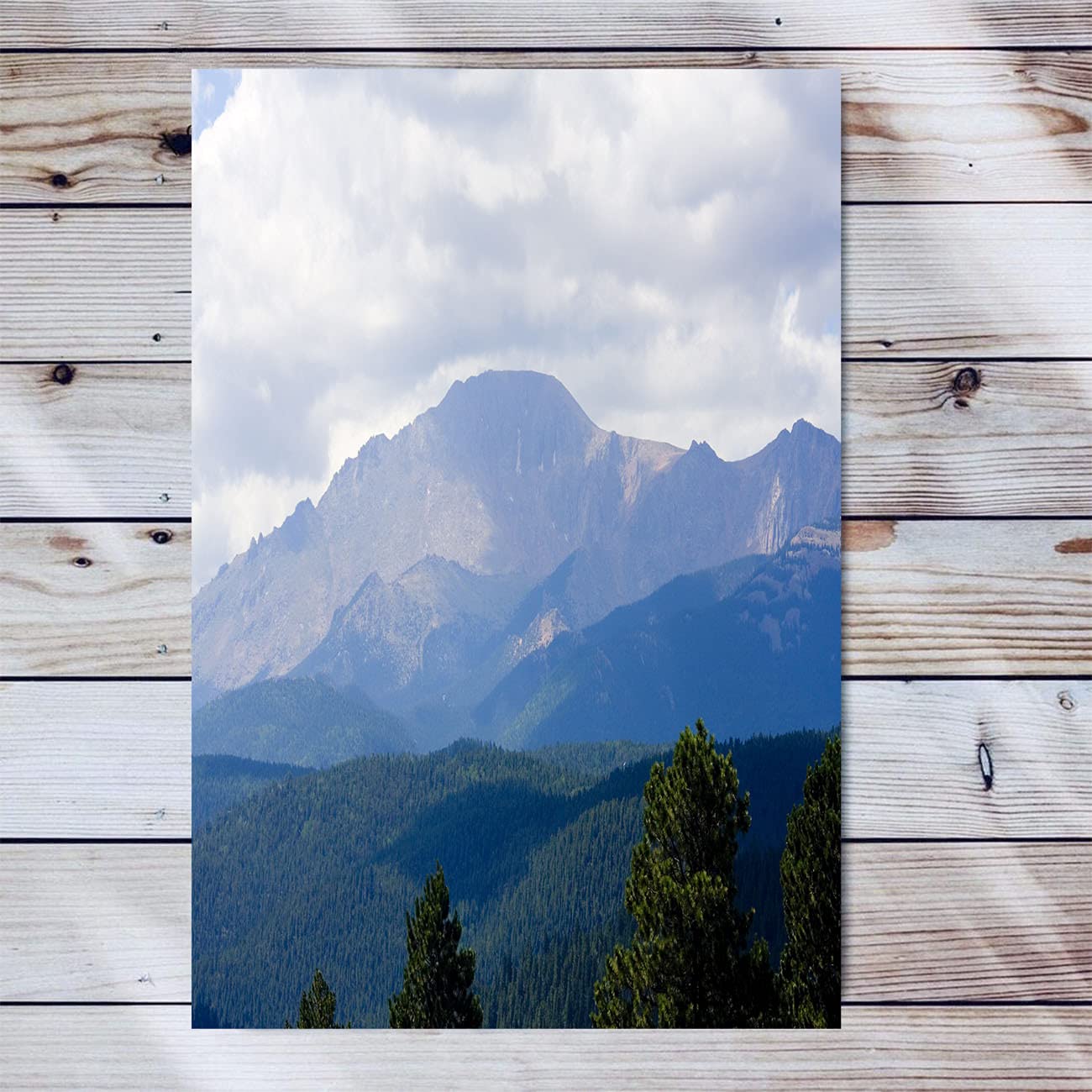 Colorado Landscape Summer