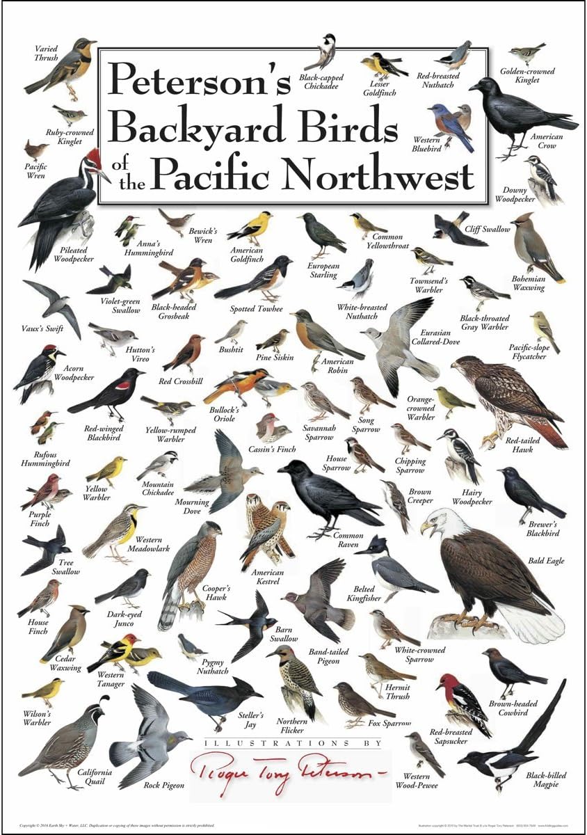 Earth Sky + Water - Peterson’s Backyard Birds of The Pacific Northwest ...