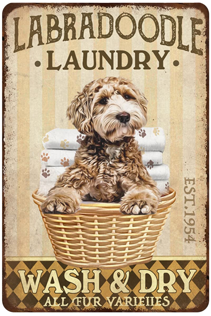 Amazon.com: Cpirust Vintage Tin Sign Decor Labradoodle Dog Laundry ...