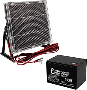 Amazon.com: Mighty Max Battery 12V 12AH Battery for Akai Flyer Scooter ...