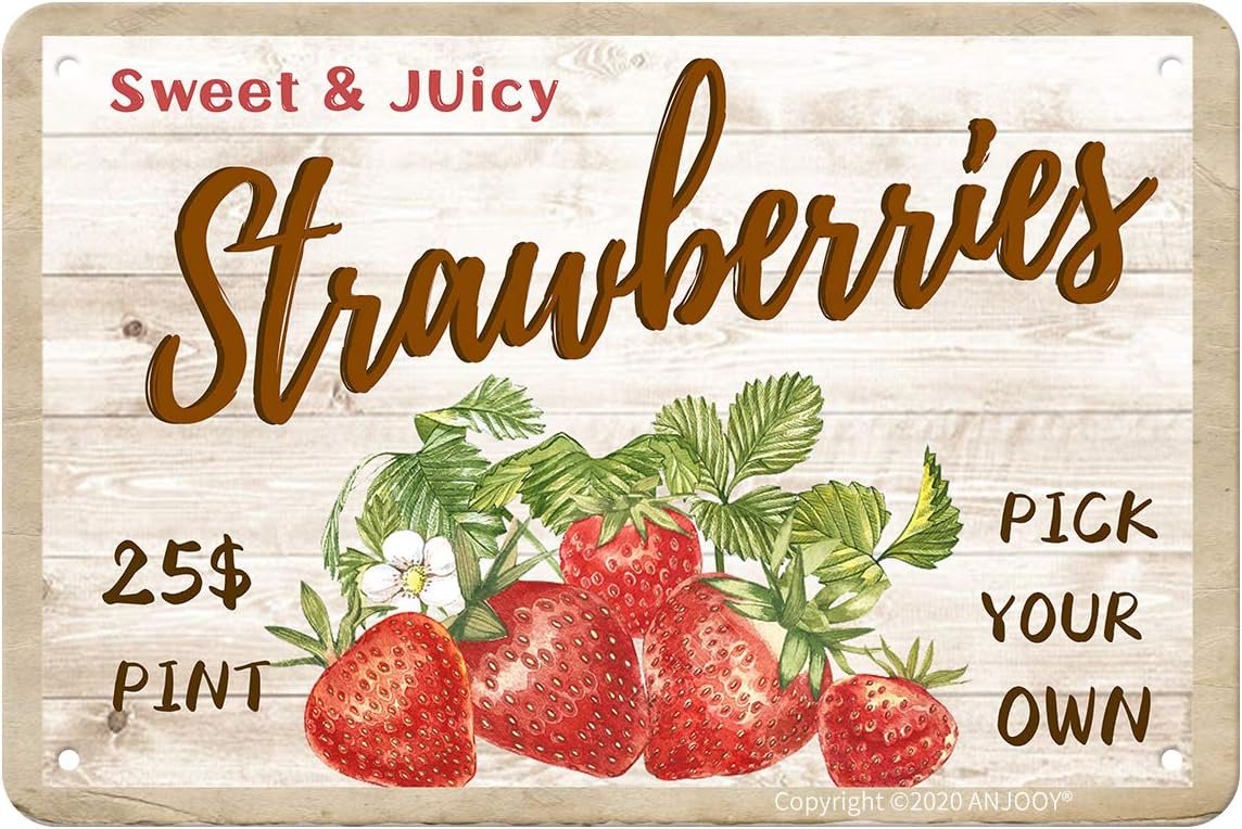 Amazon.com: Flyhaw Fruit Market tin Sign Strawberry Fruit Print Kitchen ...