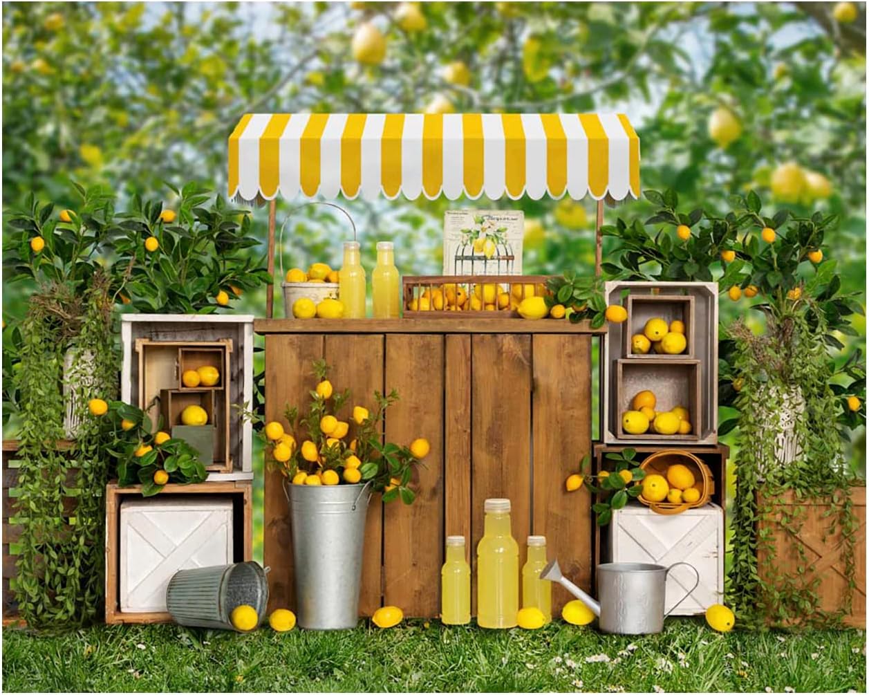 Amazon.com : Kate 10x8ft Summer Lemon Shop Backdrops for Photography ...