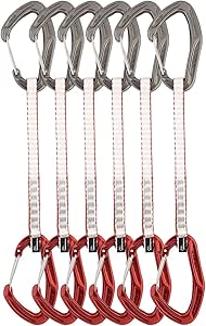 Amazon.com : DMM Alpha Trad Quickdraw 6 Pack - Titanium/red : Sports ...
