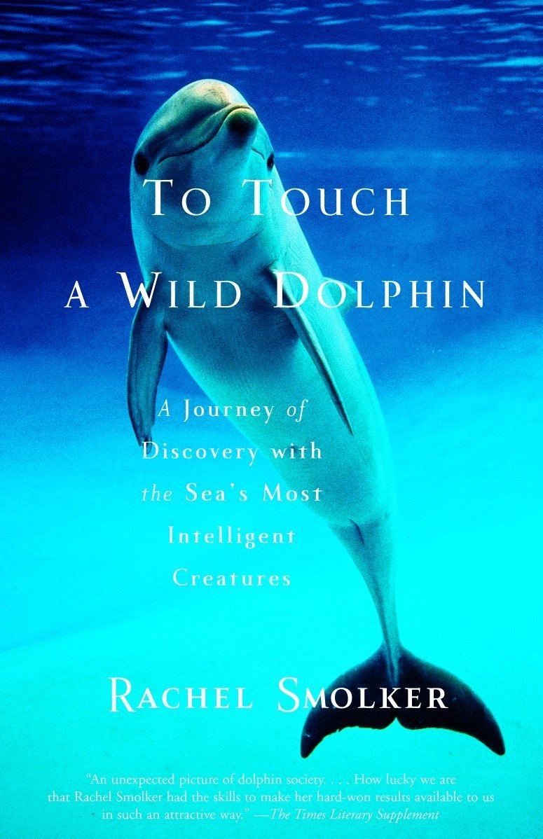 To Touch a Wild Dolphin: A Journey of Discovery with the Sea's Most ...