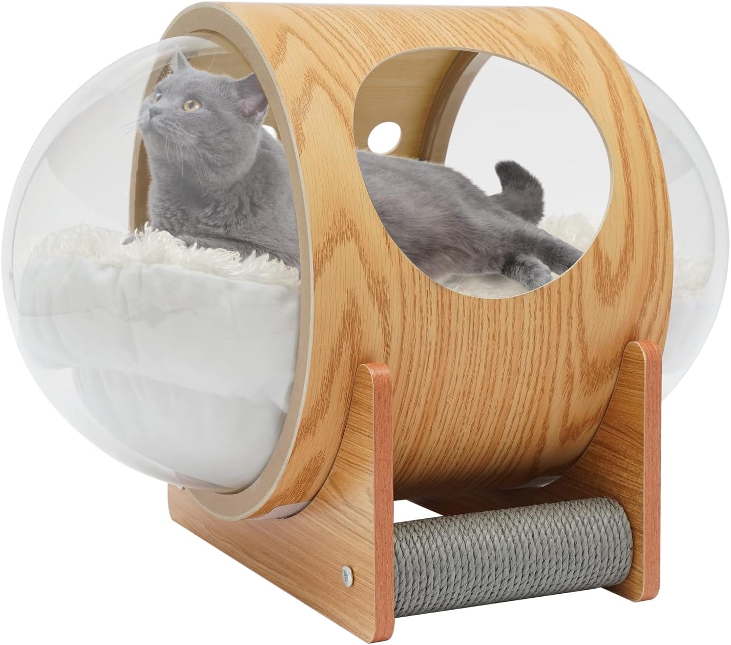 Amazon.com : Gdrasuya10 Cat Bed Capsule 25.6 * 18.9" Modern Cat ...