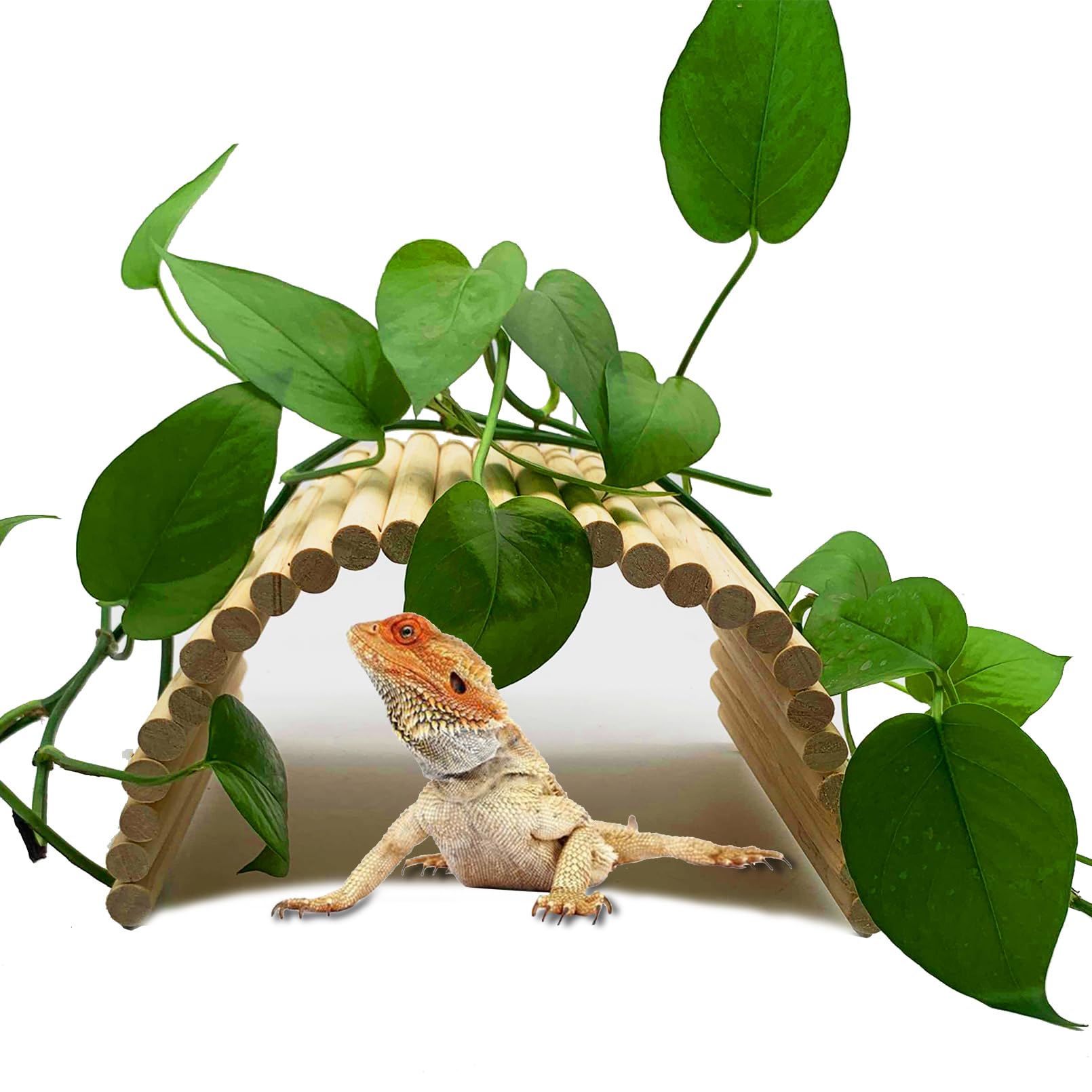 Snapklik.com : Hamiledyi Wooden Reptile Hideout Bearded Dragon Bendy ...
