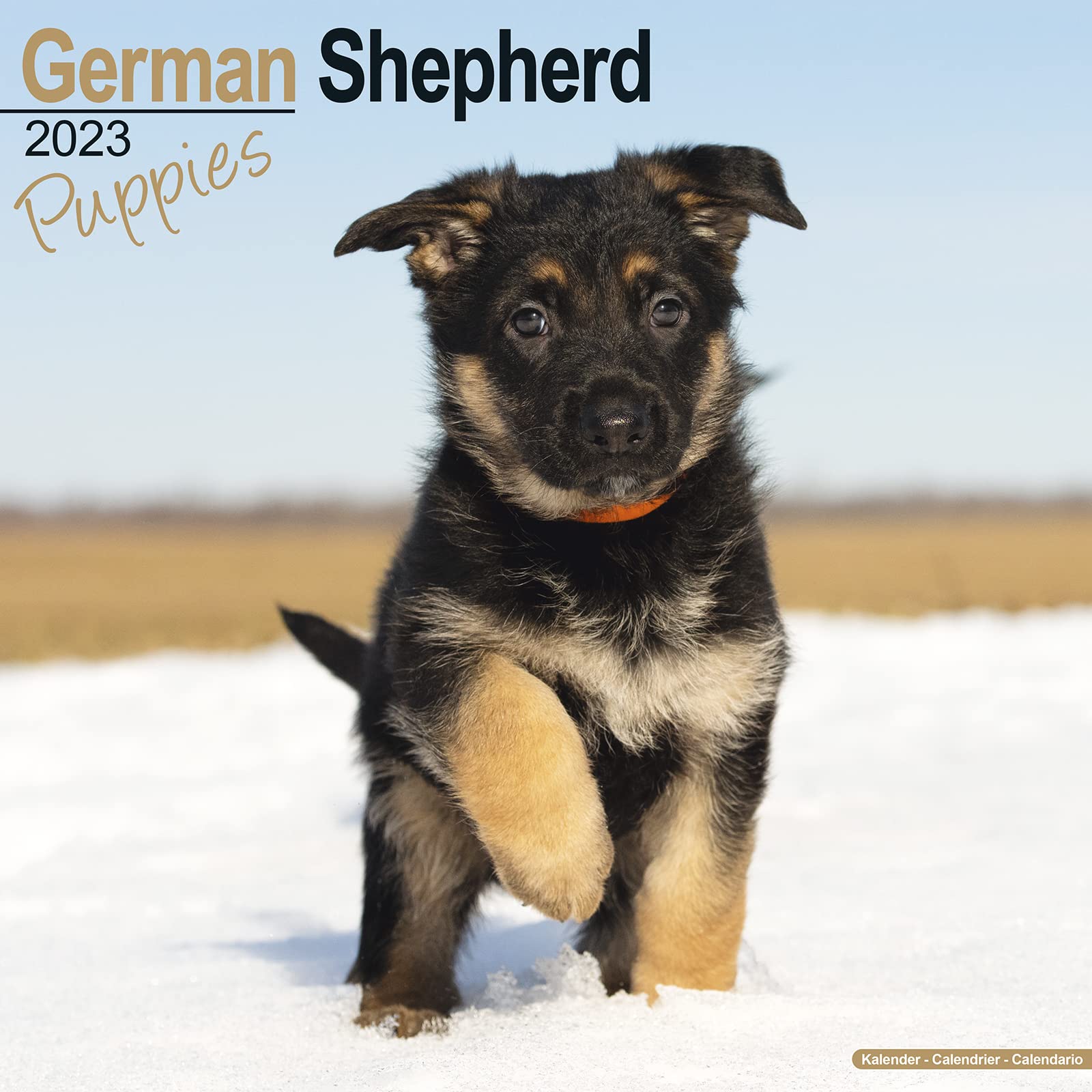 German Shepherd Puppies Calendar Puppies Calendar Dog Breed Calendars ...