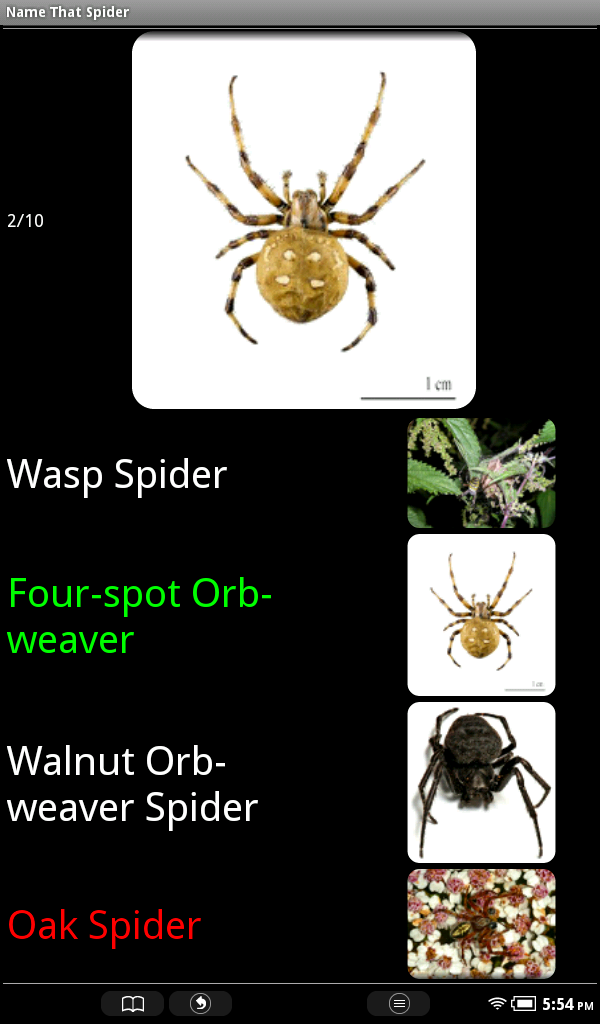 Spider Species Trivia Quiz - App on Amazon Appstore