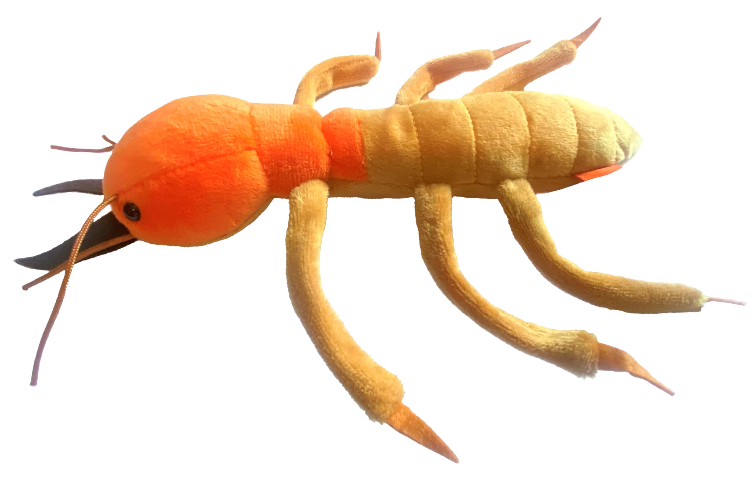 Amazon.com: GIANTmicrobes Termite Plush - Learn About This Common ...