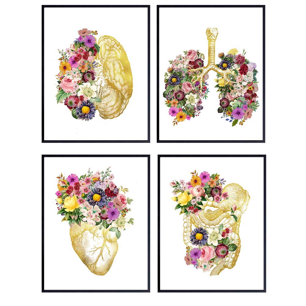 Amazon.com: Vintage Floral Anatomy Poster Set -Shabby Chic Gift for ...
