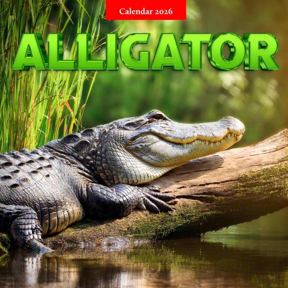 Amazon.com: Alligator 2026 Calendar: Powerful Alligators in Stunning ...