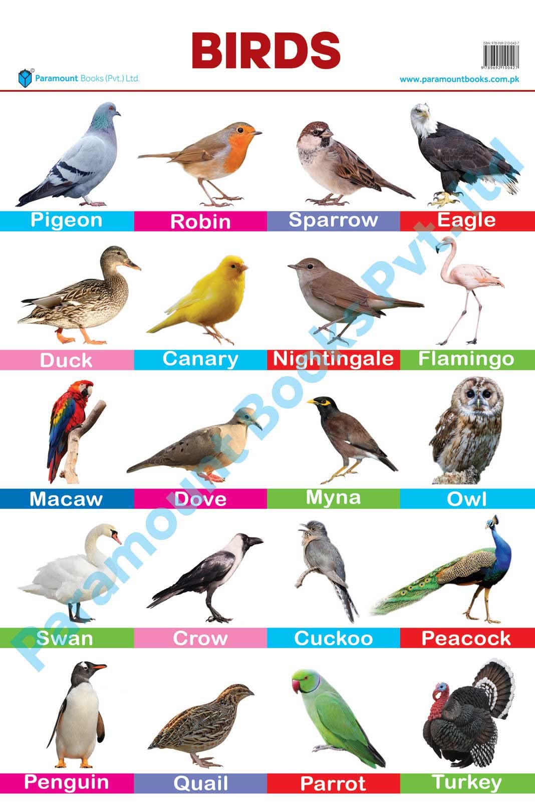 Buy Birds Chart | Wall Chart for Kids | Wall Study Charts | Educational ...