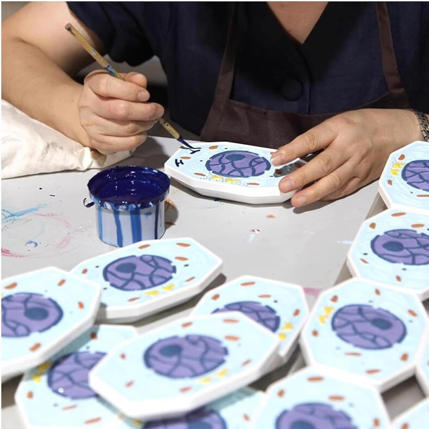 Biological Cell Models, Animal and Plant Cell Australia | Ubuy