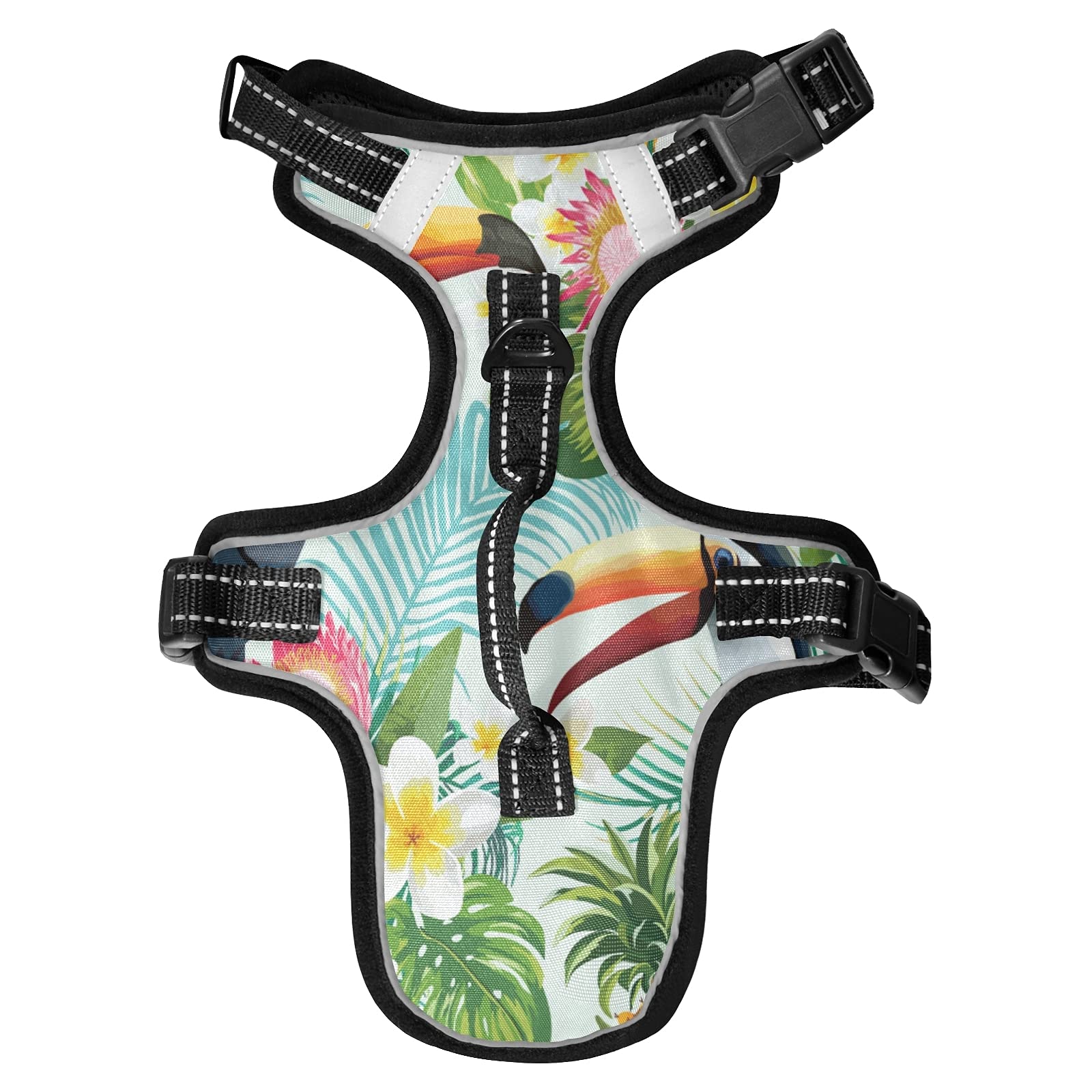 10 Best Toucan Bird Harnesses for Safe and Comfortable Outdoor ...