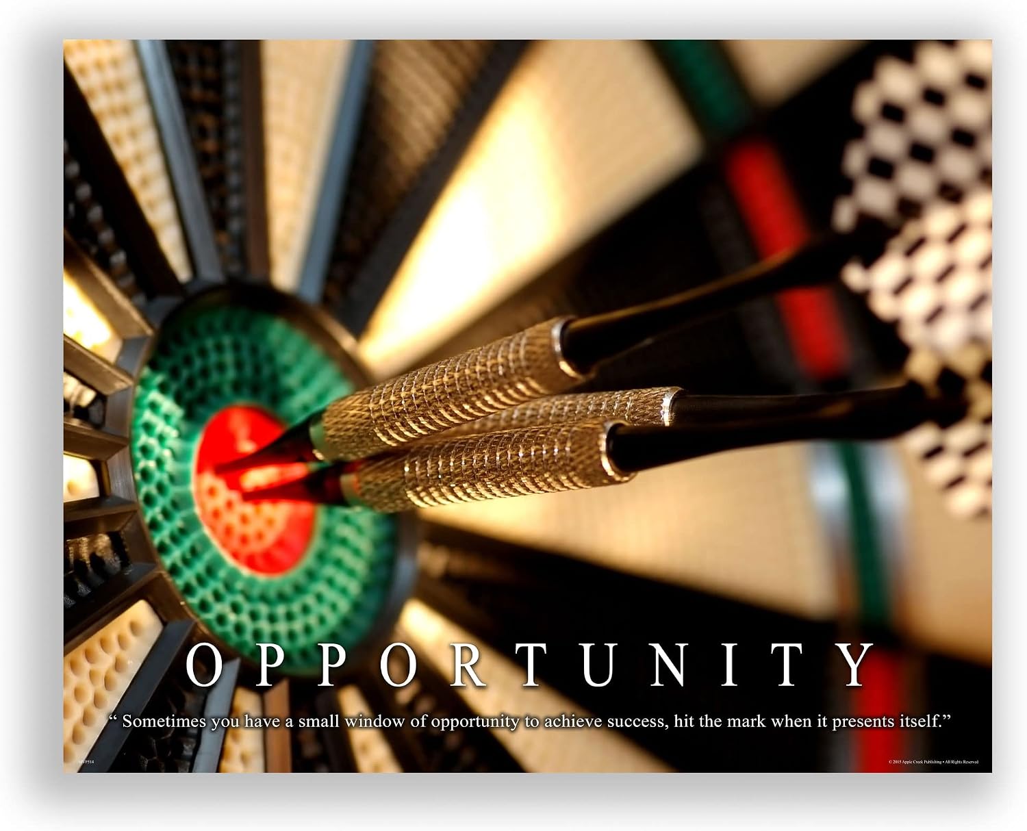 Amazon.com: Darts Motivational Poster Art Print 11x14 Dart Boards ...