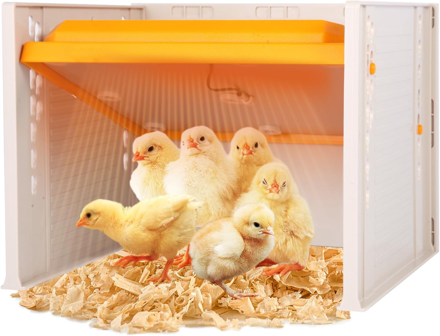 Amazon.com: ZEMIRO CHARGE Chick Brooder Heating Plate with Adjustable ...