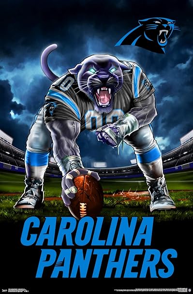 Amazon.com: Trends International NFL Carolina Panthers - 3 Point Stance ...