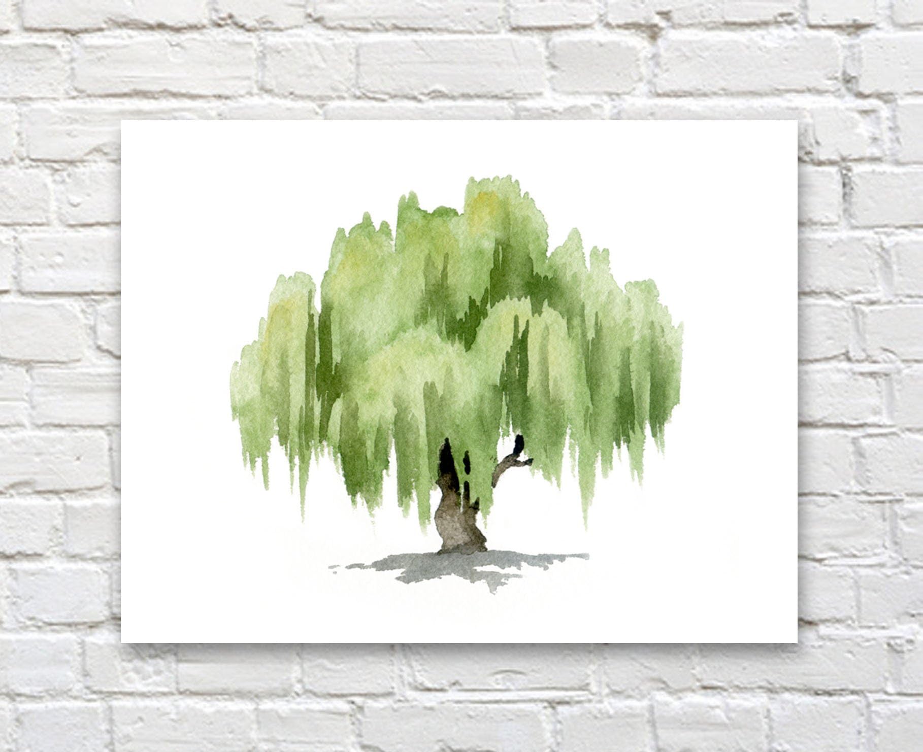 Amazon.com: Willow Tree Watercolor Art Print by Artist DJ Rogers ...