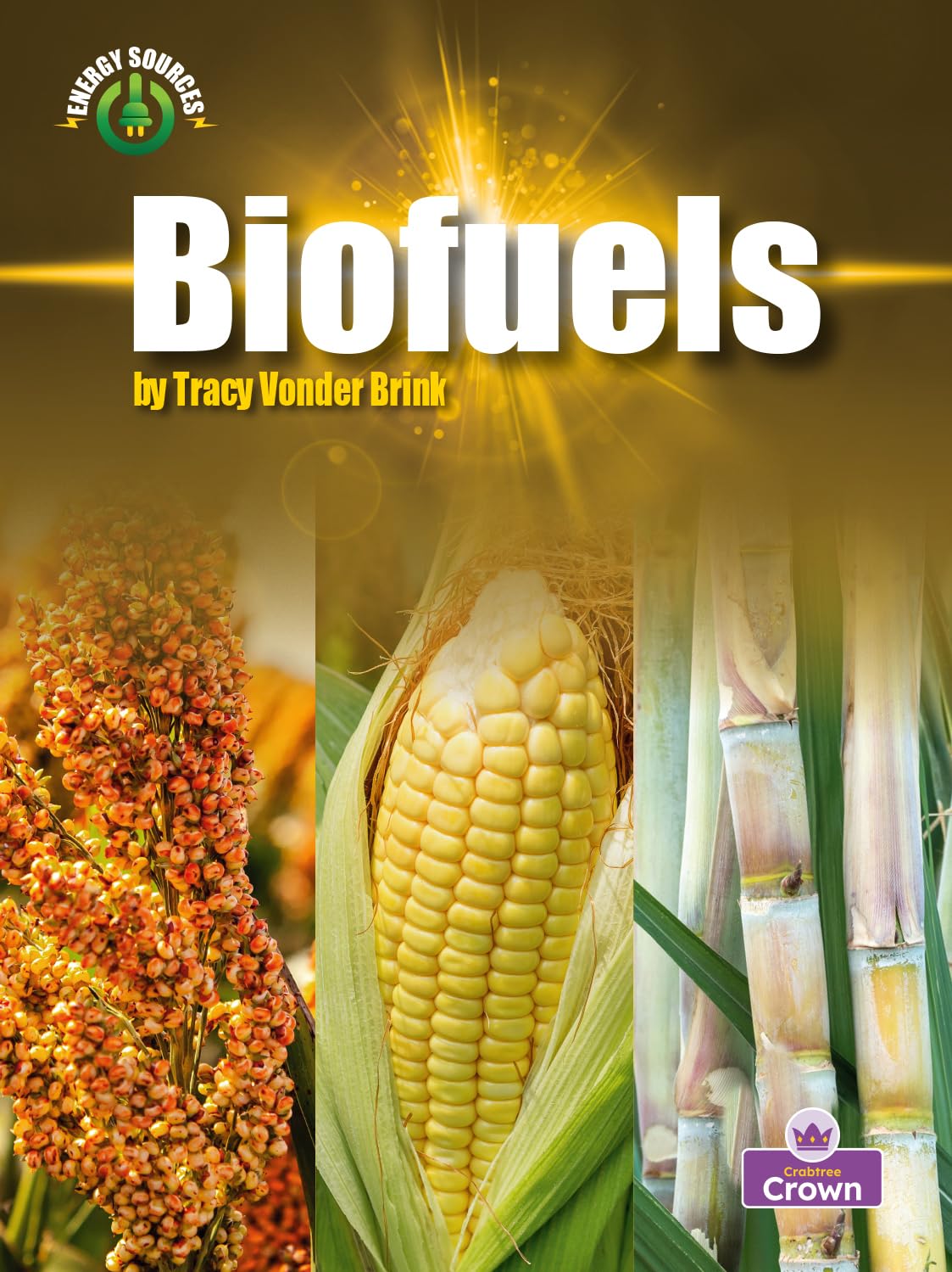 Amazon.com: Biofuels (Energy Sources): 9781039660632: Brink, Tracy ...