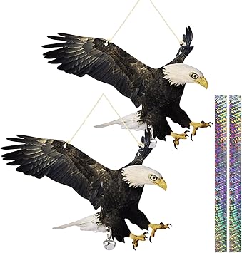 Amazon.com : Flat Fake Hawk to Keep Pigeon Away, 2Pcs Plastic Hawk to ...
