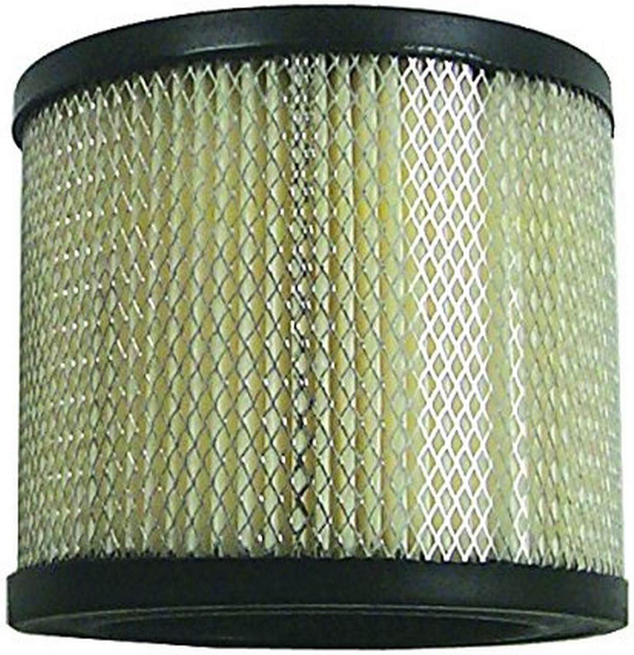 Amazon.com : Sta-Rite Air Bleed Filter : Swimming Pool Filters : Patio ...