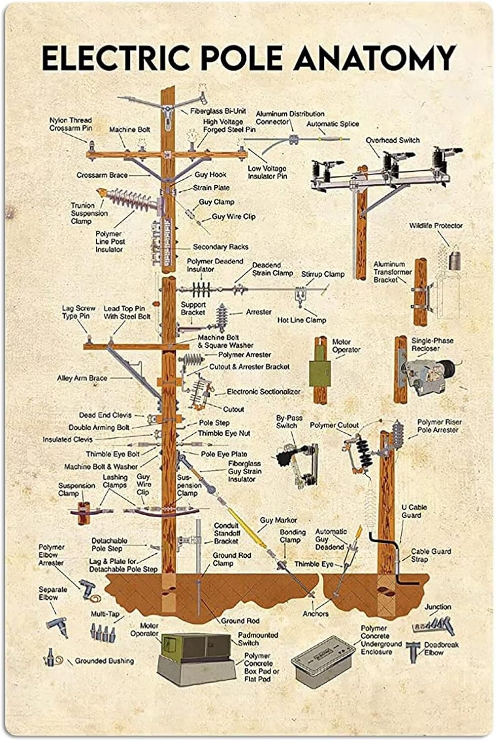 Amazon.com: JIUFOTK Electric Pole Anatomy Metal Tin Signs Lineman ...