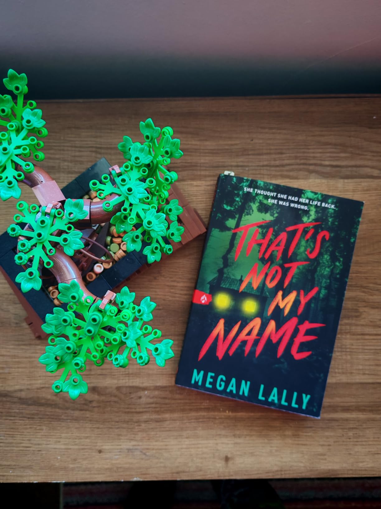 That's Not My Name : Lally, Megan: Amazon.co.uk: Books